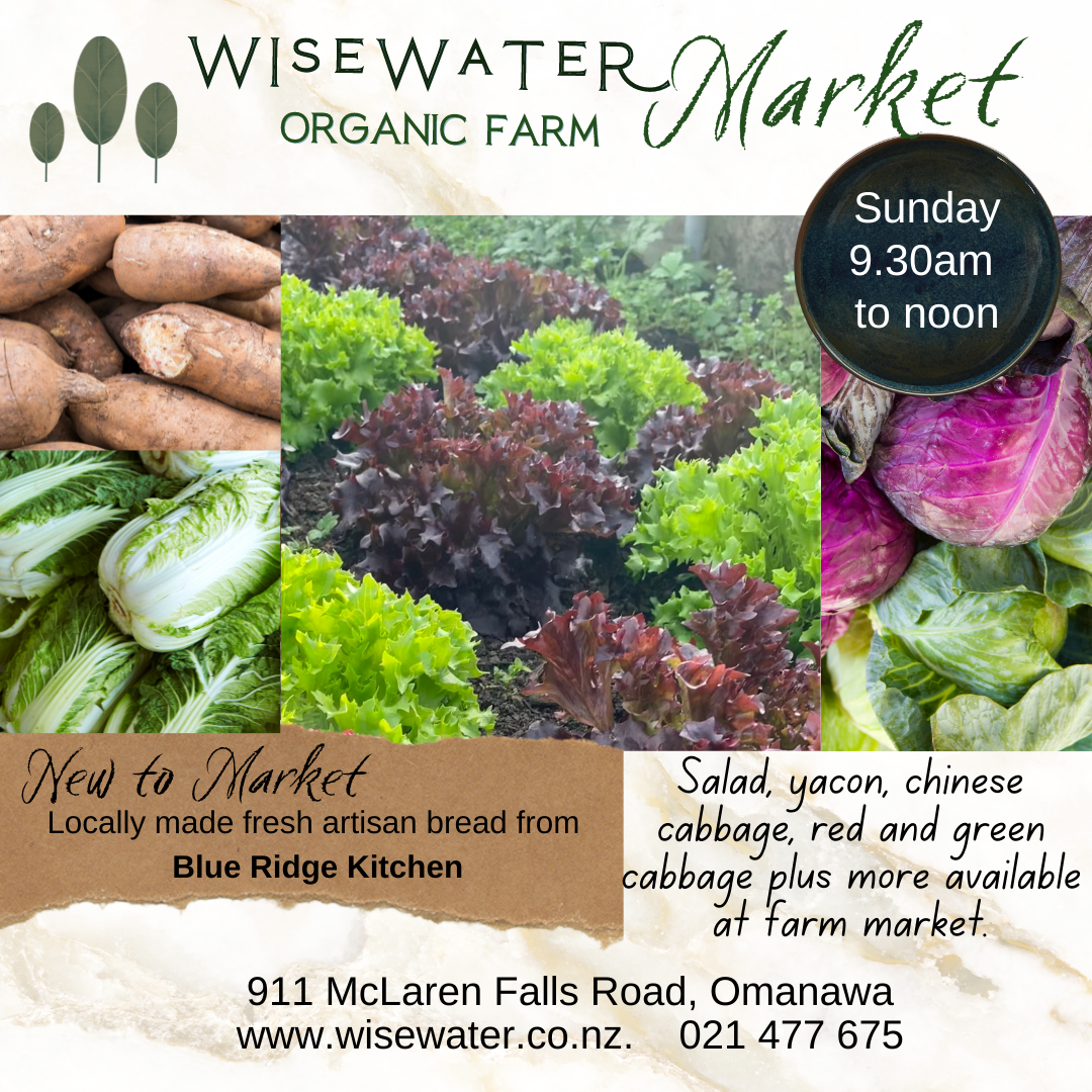 Wisewater On Farm Organic Market Update – Wisewater Organic Farm Ltd