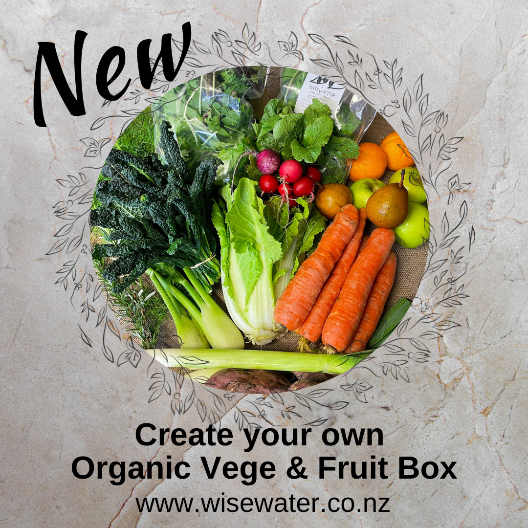 Customised Veggie Boxes proving popular – Wisewater - Brave New World