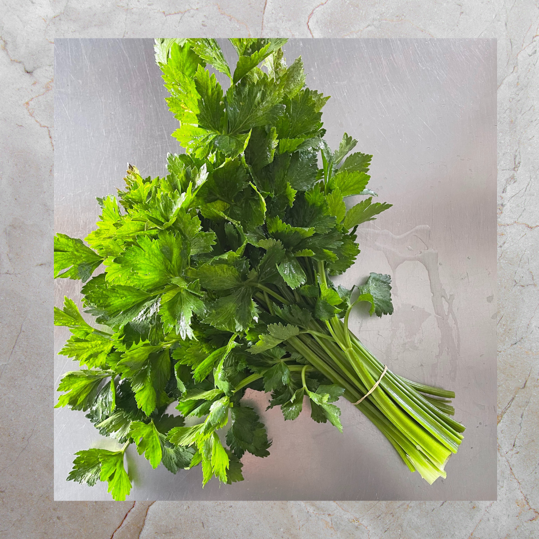 Celery Juicing (bunch) – Wisewater - Brave New World